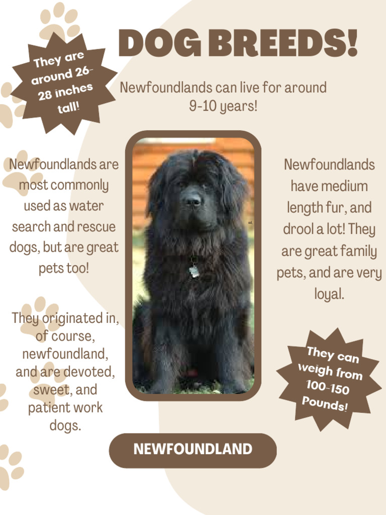 Dog Breed Poster | PDF