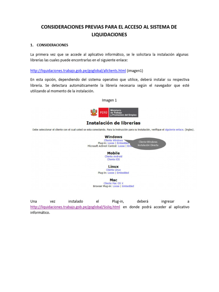 Instalación de Siltra en Windows 11 | PDF