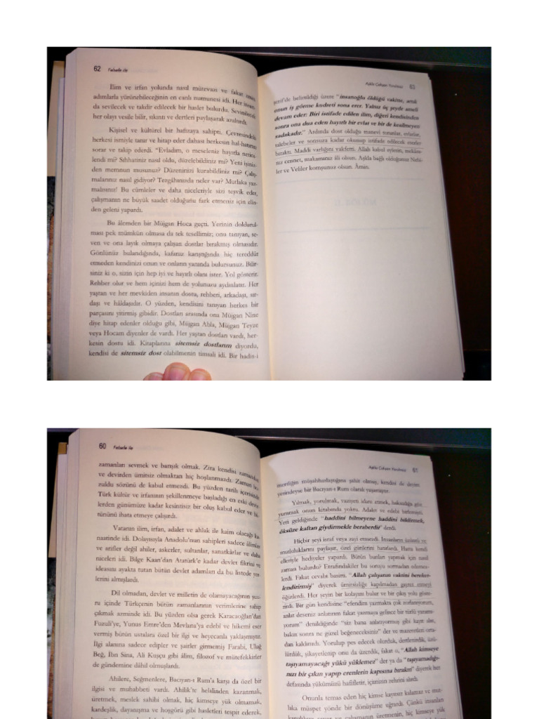 Felsefe Ile Röportajsız PDF | PDF