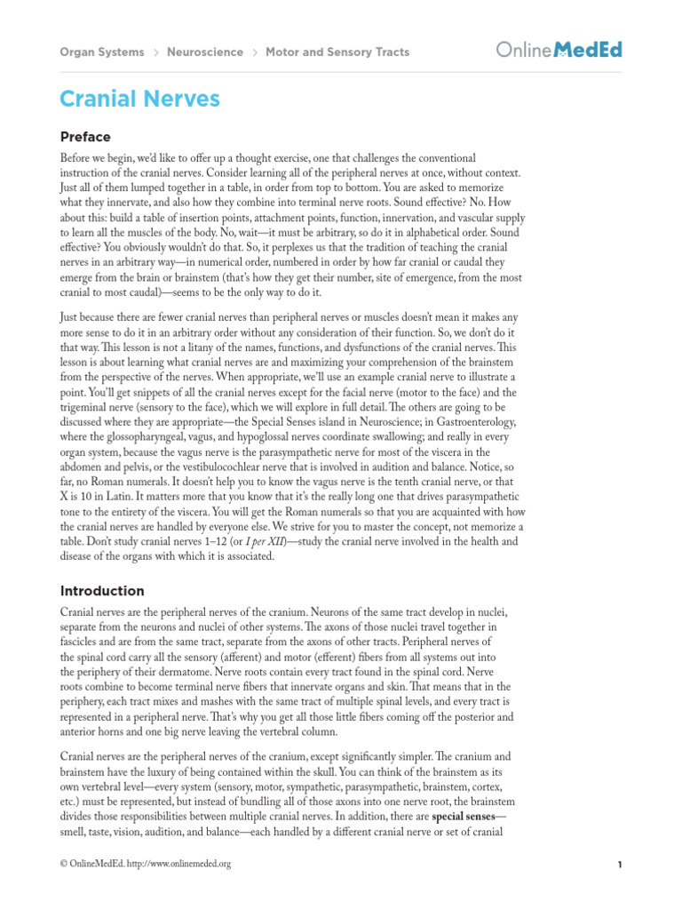 Neuroscience - Cranial Nerves | PDF | Brainstem | Motor Neuron