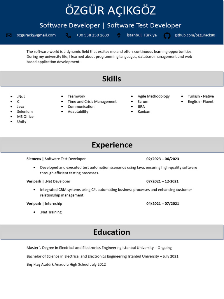 Software Developer & Tester Profile | PDF