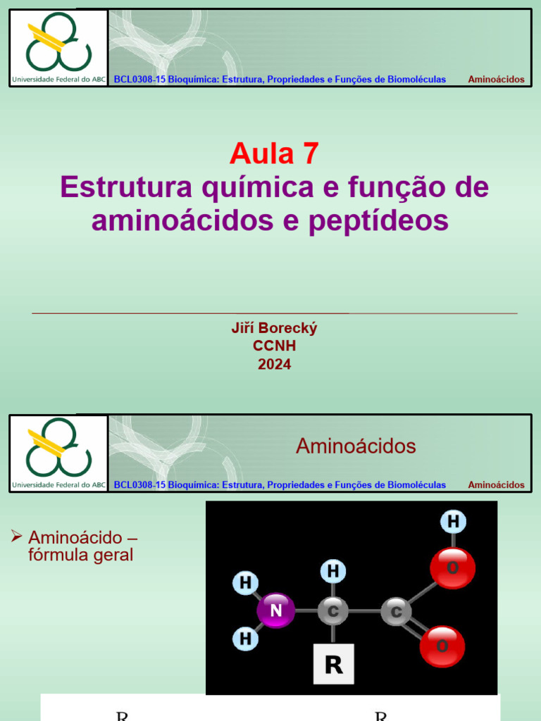 BCL0308 15 Aula7 Aminoacidos Peptideos | PDF | Aminoácido | Biomoléculas