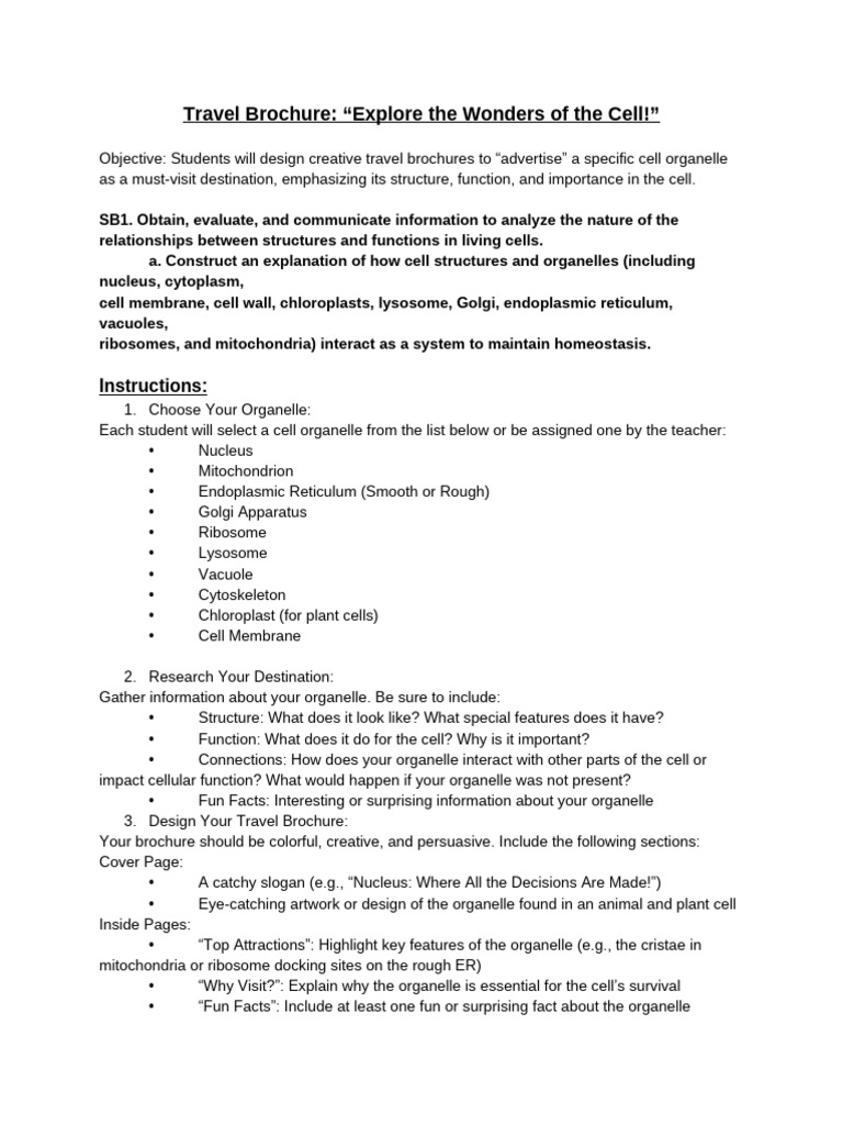 Cell Organelle Travel Brochure Project | PDF | Cell (Biology) | Lysosome