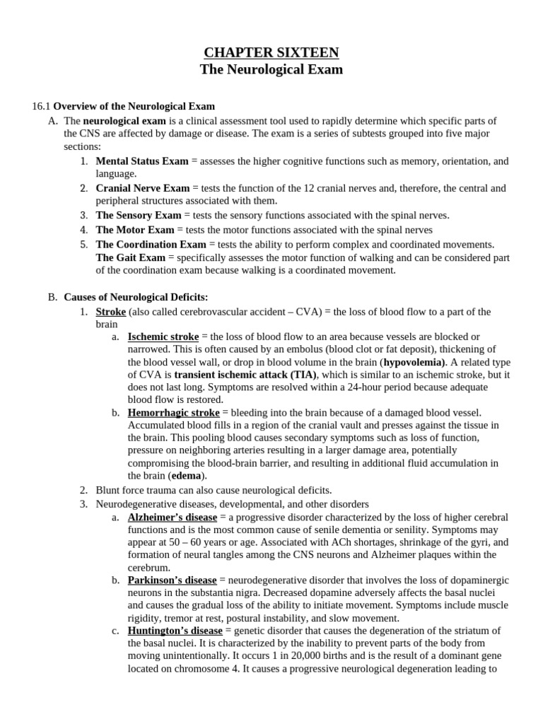 Chapter 16 Outline - Complete | PDF | Speech | Ear