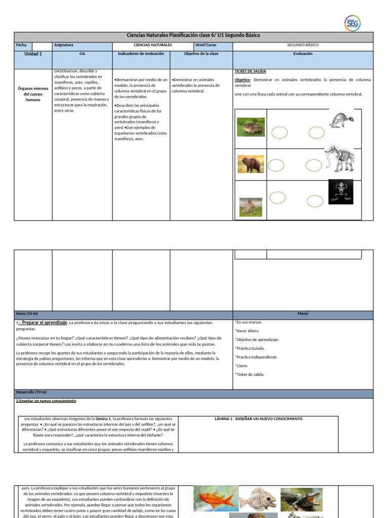 Planif U2 Segundo Clase 2 | PDF | Vertebrados | Esqueleto
