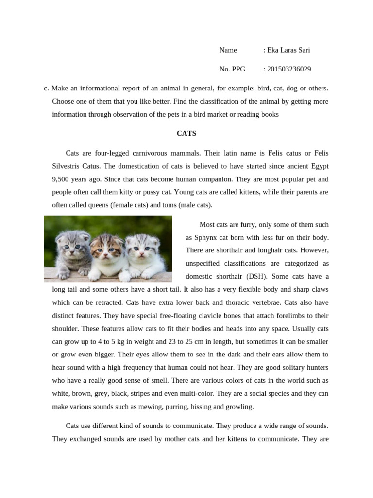 Comprehensive Guide to Domestic Cats | PDF | Cats | Zoology