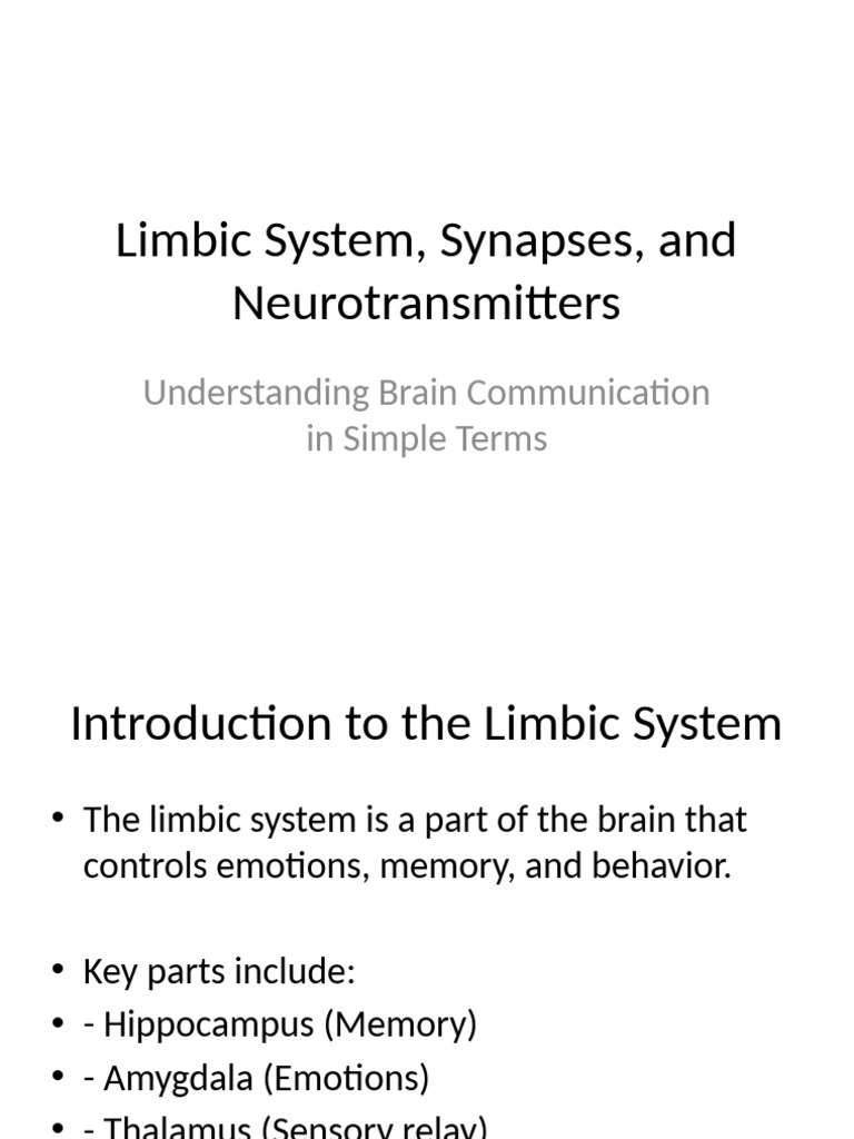 Limbic System Presentation | PDF