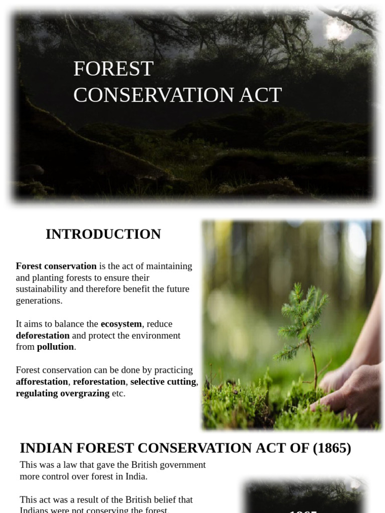 Indian Forest Conservation Acts | PDF | Forest Management | Forests
