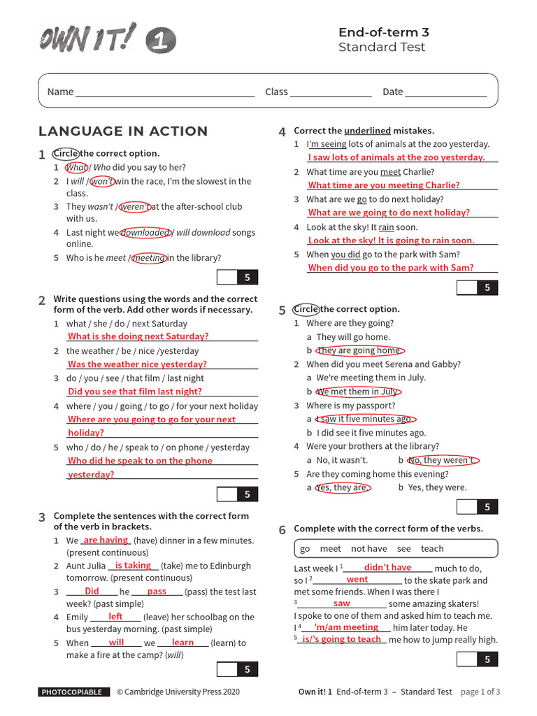 Term3 Standard With Answers | PDF
