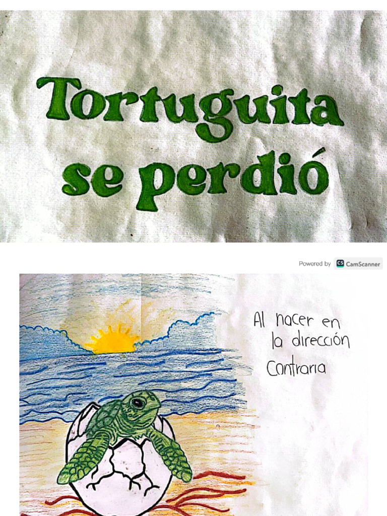 Línea de Tiempo Tortuguita Se Perdió | PDF