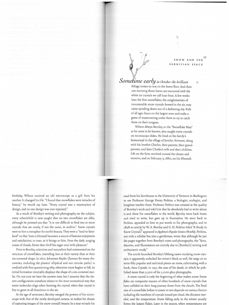 021-32 ch 2 snow and subnivean space | PDF