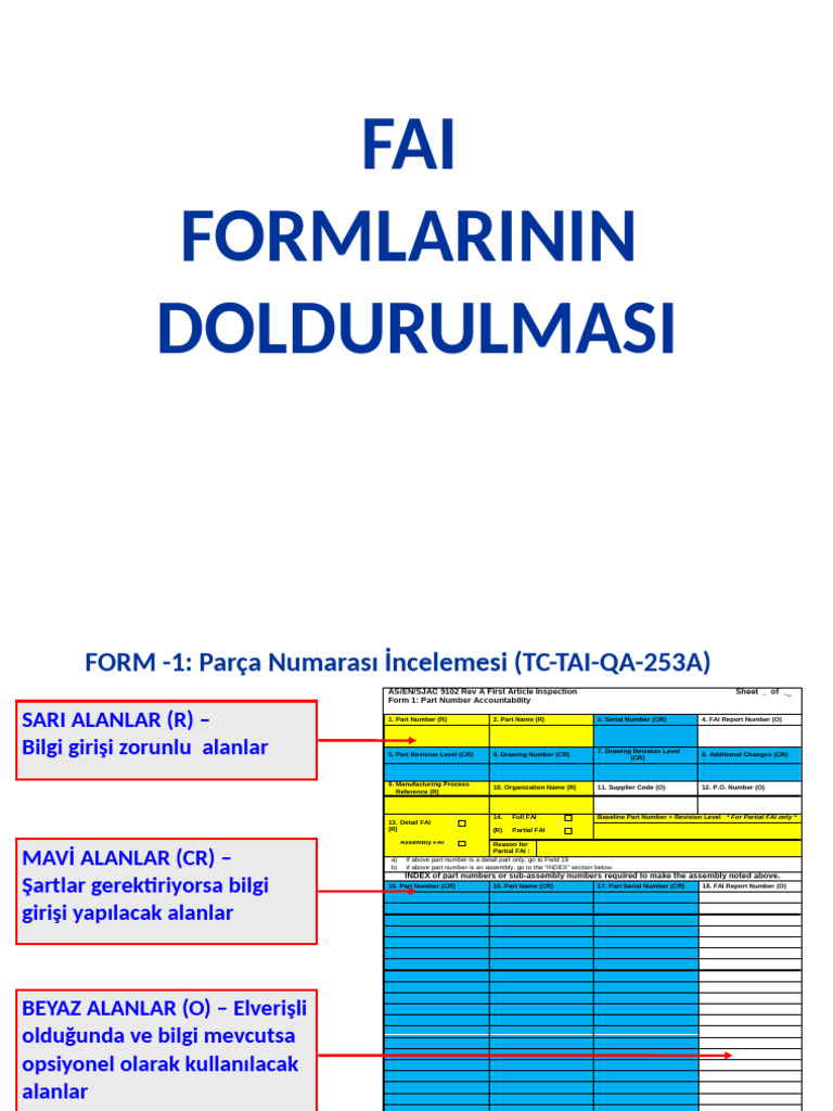Fai Formlarinin Doldurulmasi | PDF