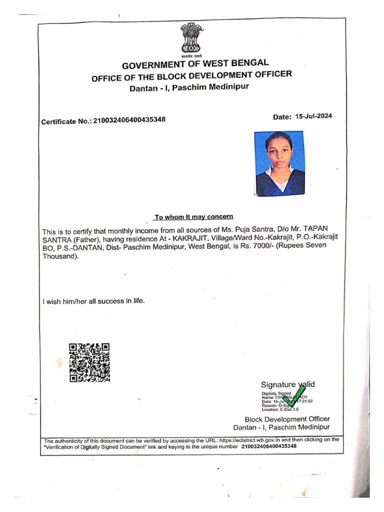 Income Certificate | PDF