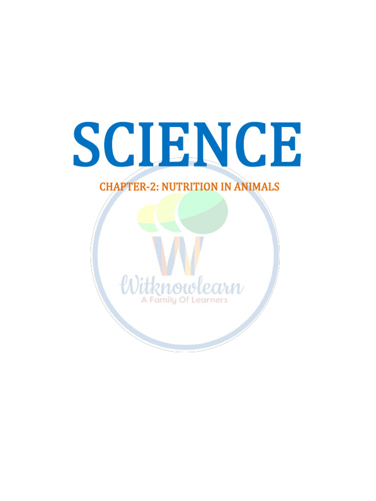 Science: Chapter-2: Nutrition in Animals | PDF | Digestion | Foods