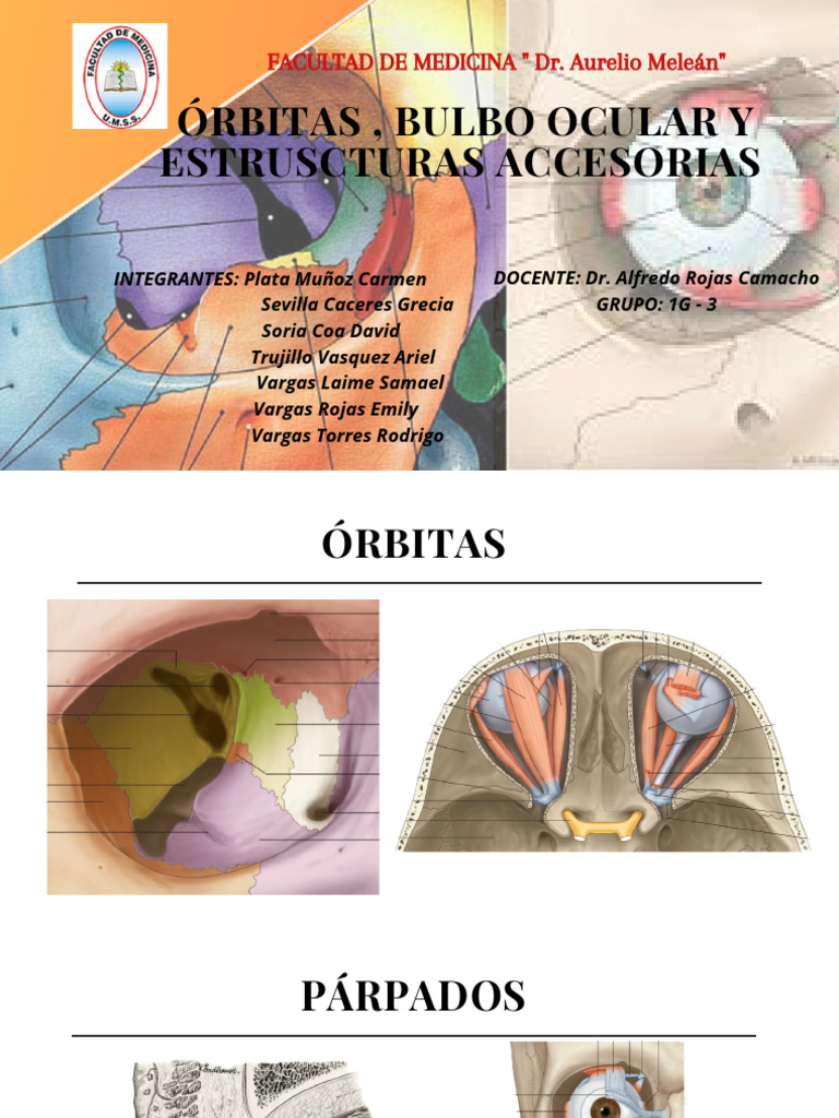 Órbitas | PDF