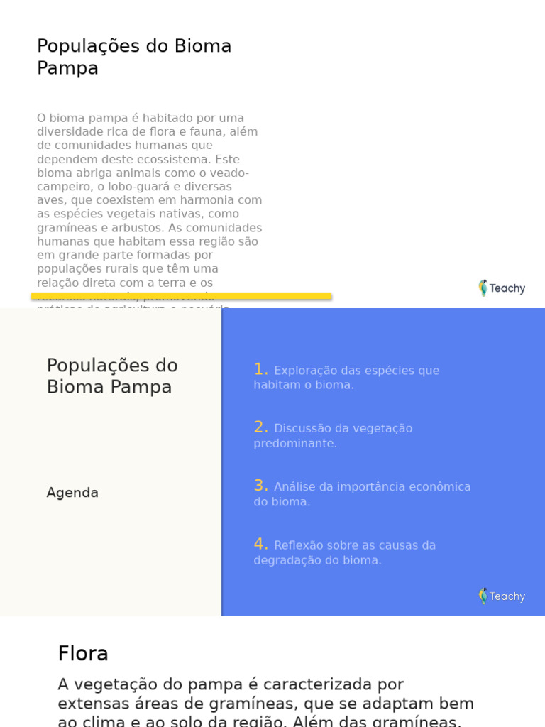 Slide Bioma Pampa | PDF