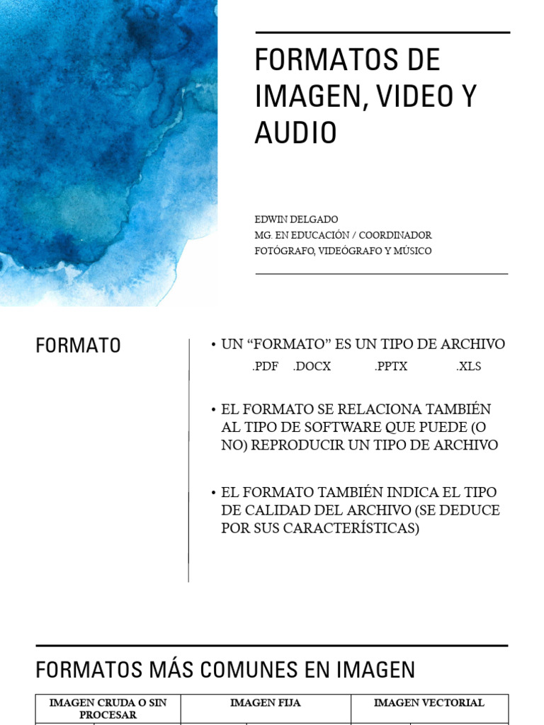 Formatos de Imagen y Video Esenciales | PDF | Formato de imagen sin ...