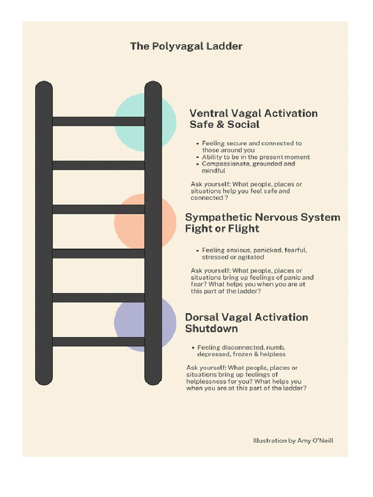 polyvagal ladder | PDF