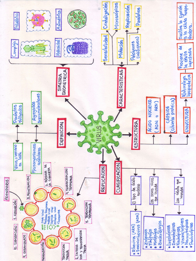 VIRUS | PDF