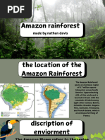 Amazon Deforestation Data and Graphs | PDF | Amazon Rainforest | Deforestation