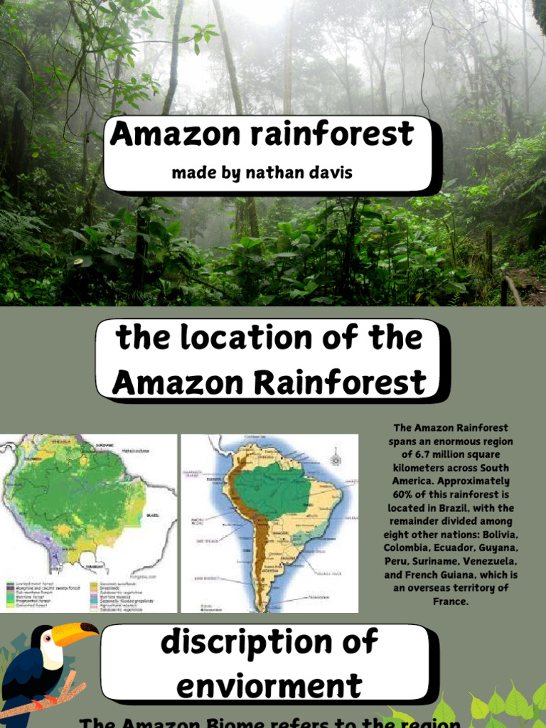 Amazon Rainforest | PDF