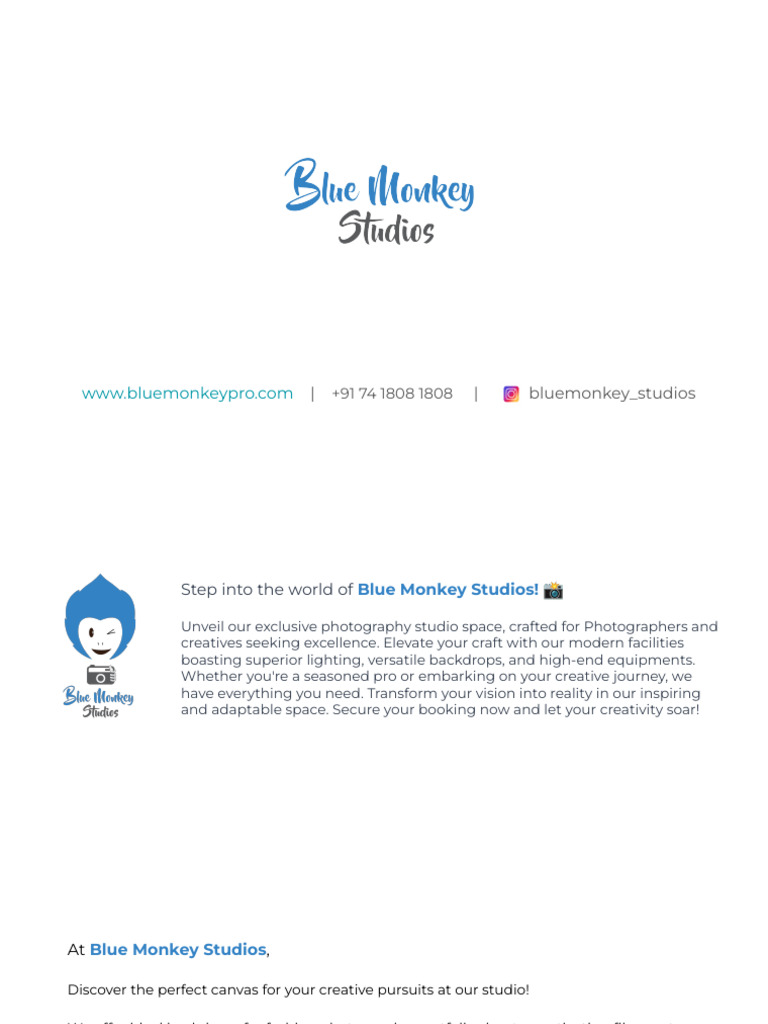 BlueMonkey Studios - 2025 | PDF