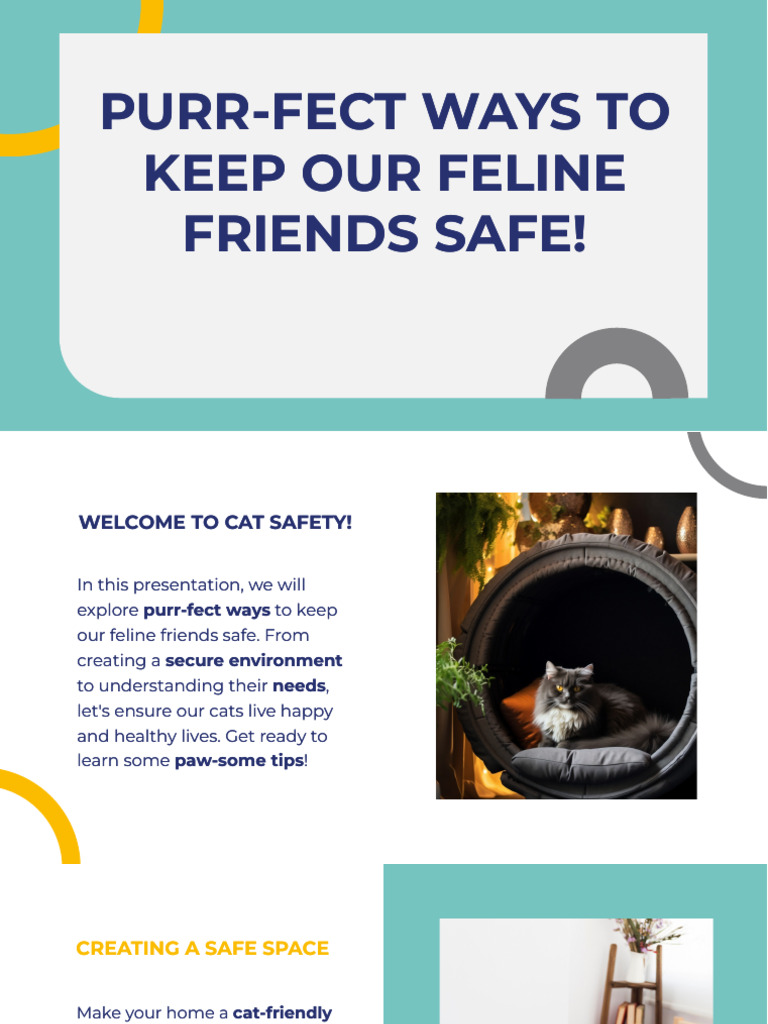 Purr-Fect Ways To Keep Our Feline Friends Safe! Purr-Fect Ways To Keep ...