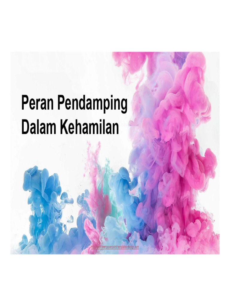 Peran Pendamping Dalam Kehamilan | PDF