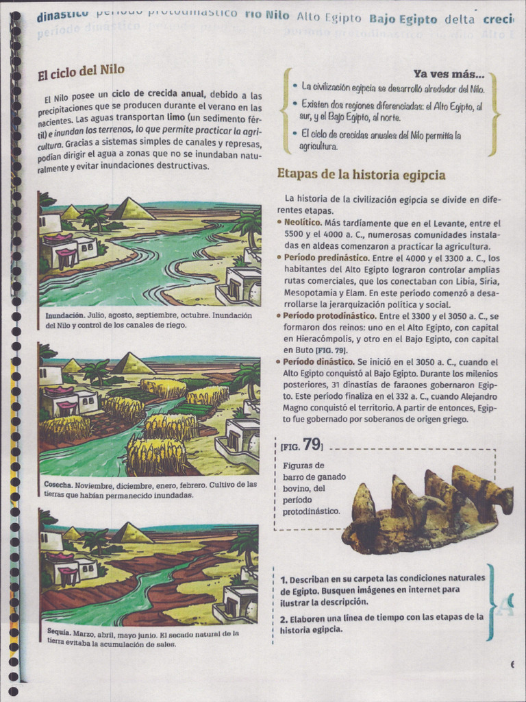 Capitulo6,7,8 Historia1 | PDF