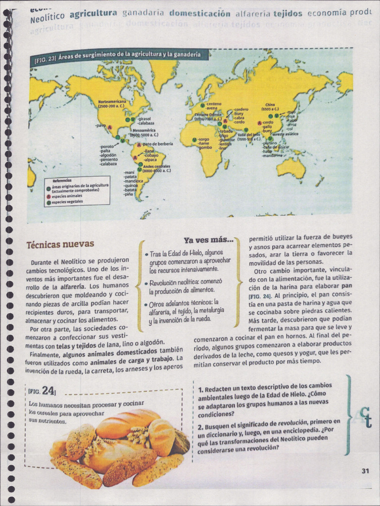 CAPITULO3,4Y5_HISTORIA1 | PDF