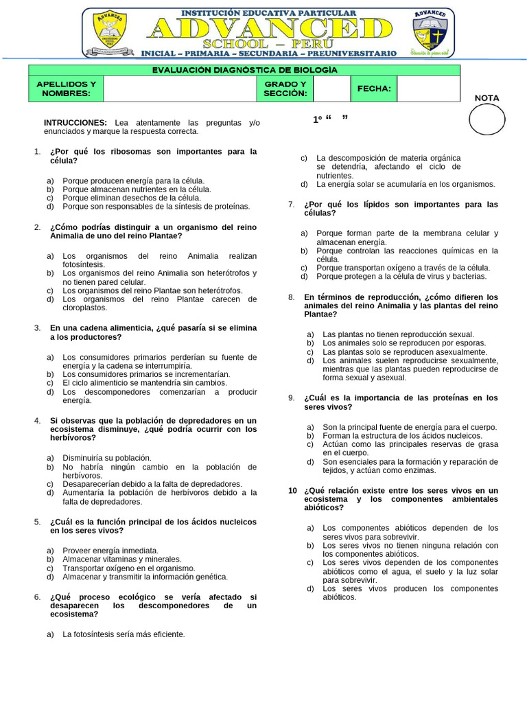 1ero - Sec - Evaluaciòn Diag. Biologia | PDF | Plantas | Organismos