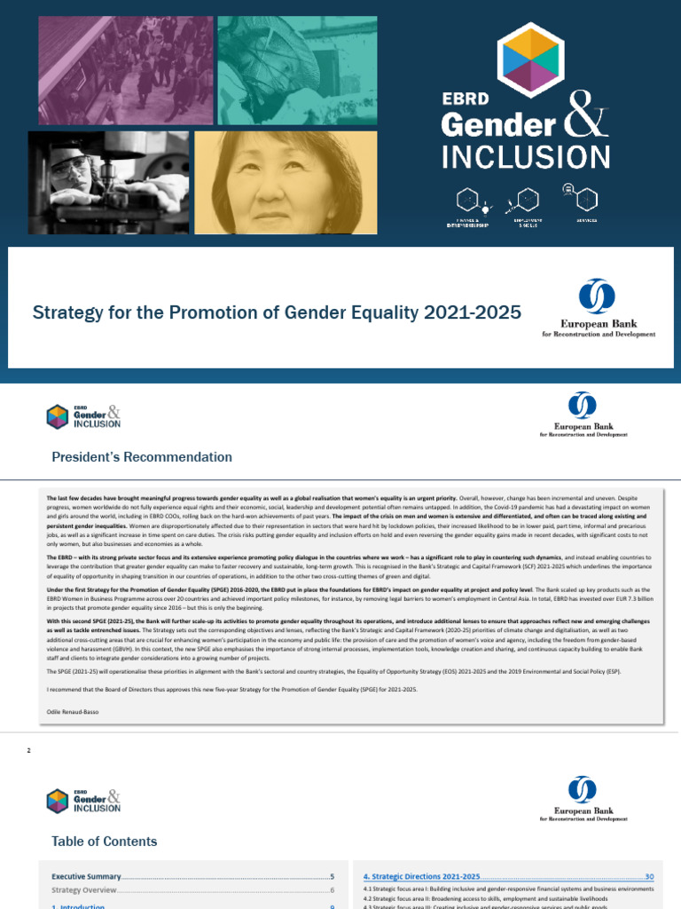Gender Equality Strategy 2021-2025 | PDF | Gender Equality | Gender Studies