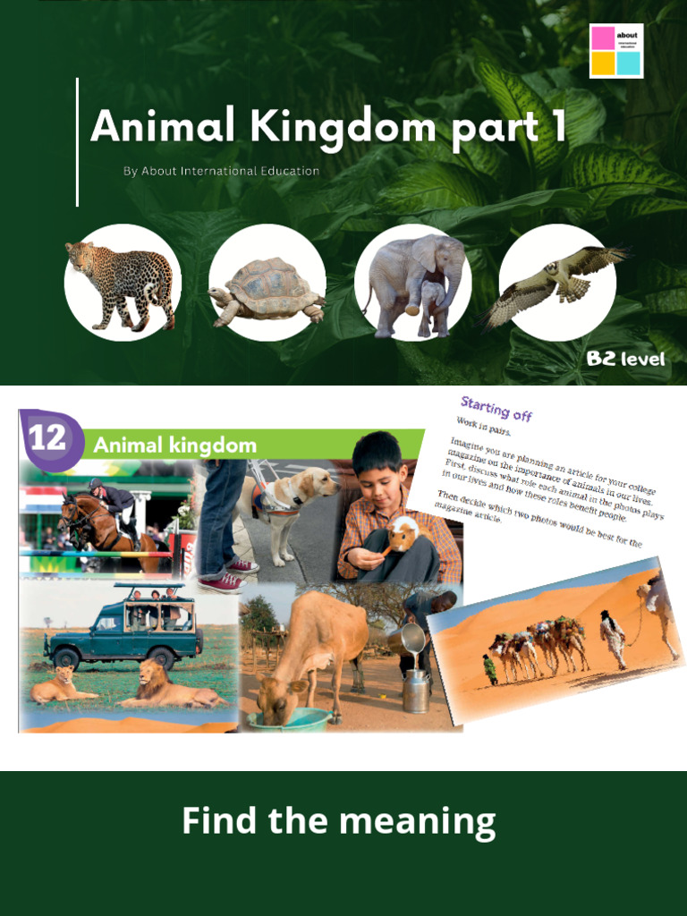 Animal Kingdom Part 1 Live Lesson | PDF