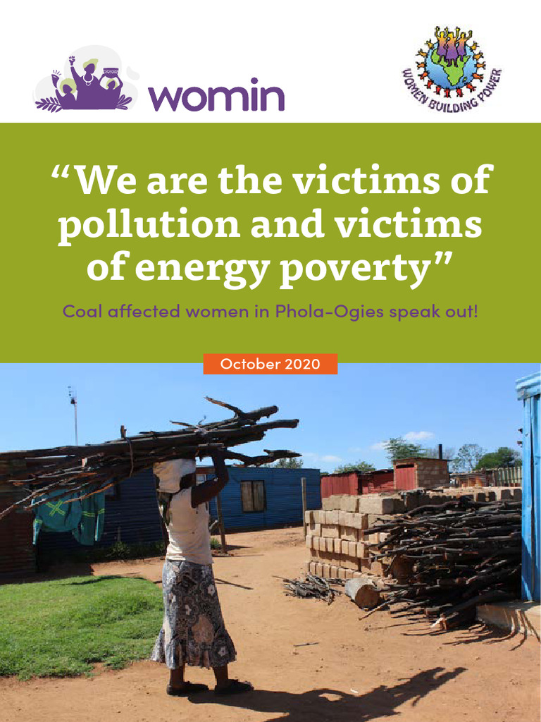 Fpar Booklet 2020-English Final 1 | PDF | Coal | South Africa