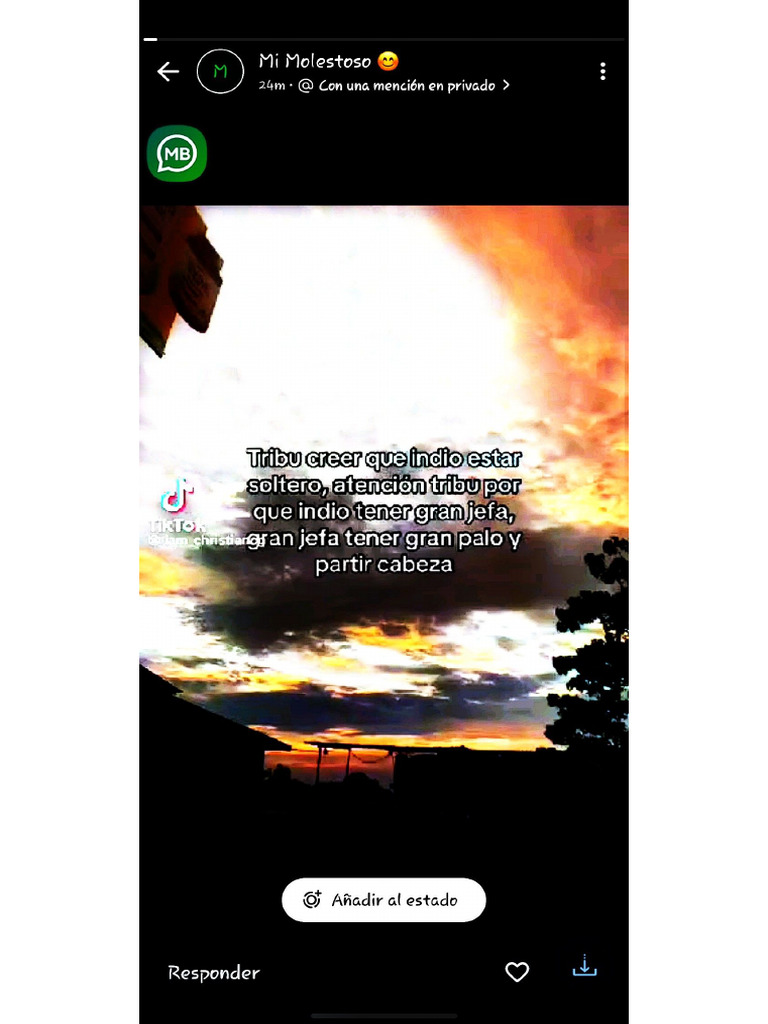 OneRead 20250313 1155 | PDF