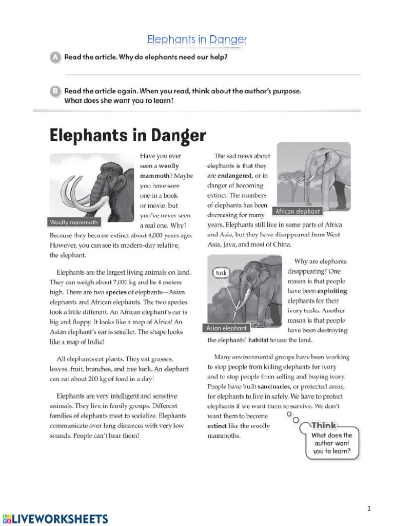 Animals in Danger Worksheet | PDF