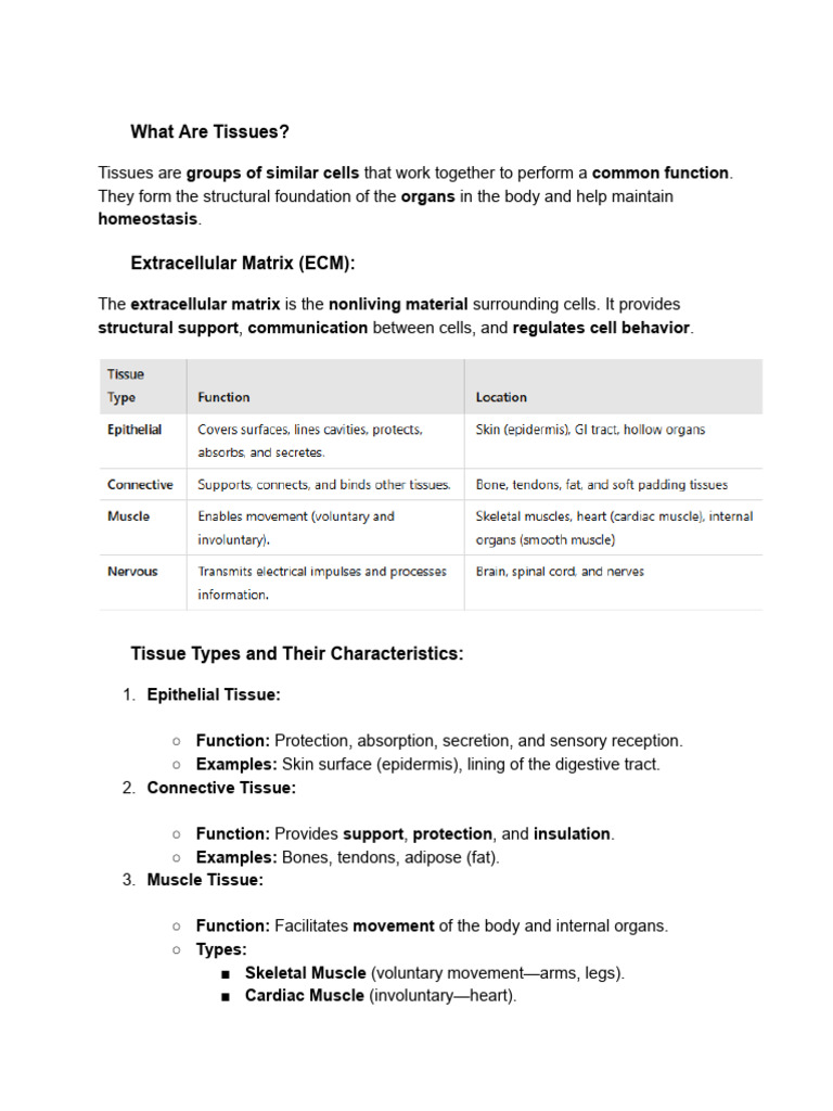 Chapter 8 Cell Introduction to Tissues (1) | PDF | Extracellular Matrix ...