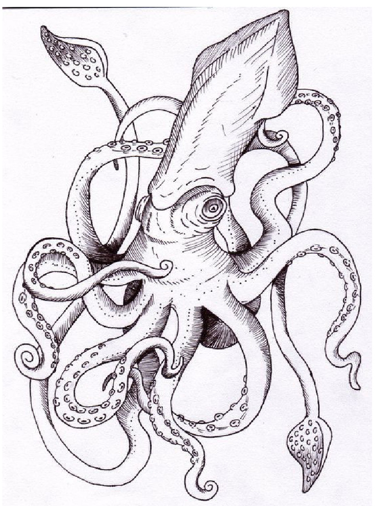 Pulpo y Calamar | PDF