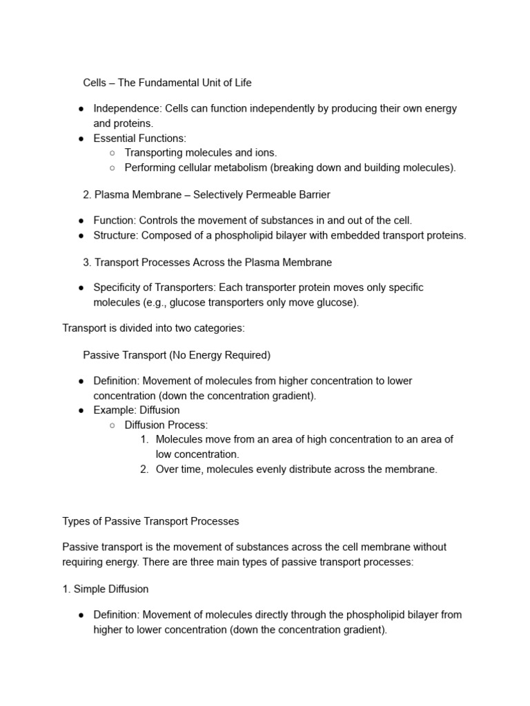 Chapter 6 Cell Function | PDF | Cellular Respiration | Diet & Nutrition