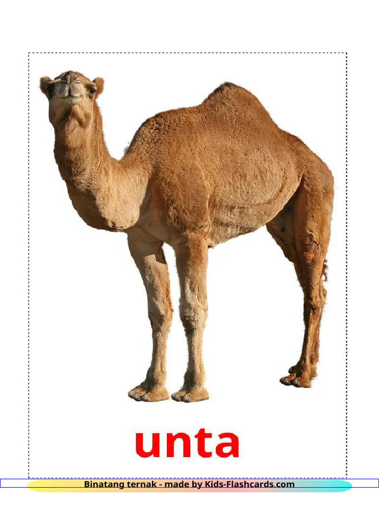 Binatang Ternak 1 A4 | PDF