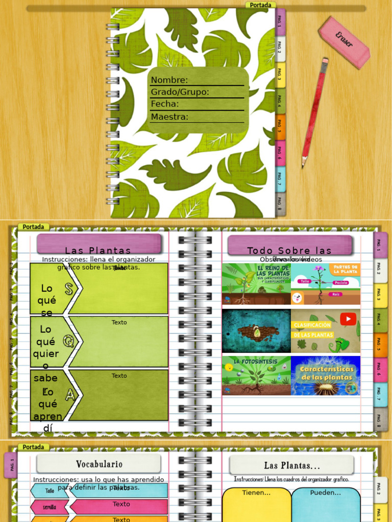 Libreta Interactiva Plantas | PDF | Ramas de la botánica | Plantas