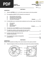 Photosynthesis and Respiration Explained | PDF | Photosynthesis ...