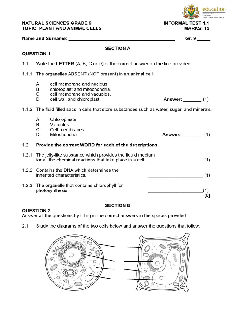 Grade 9 Cells Informal Test | PDF | Cell (Biology) | Chloroplast