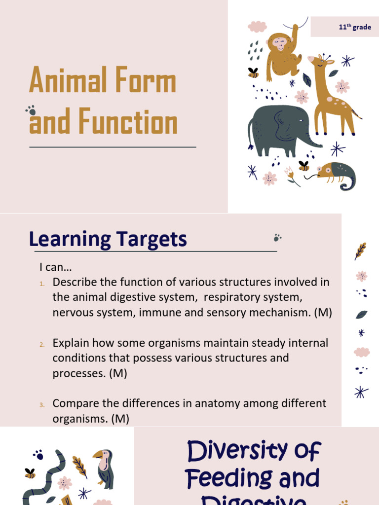 Animal Systems: Structure and Function | PDF | Nervous System | Central ...
