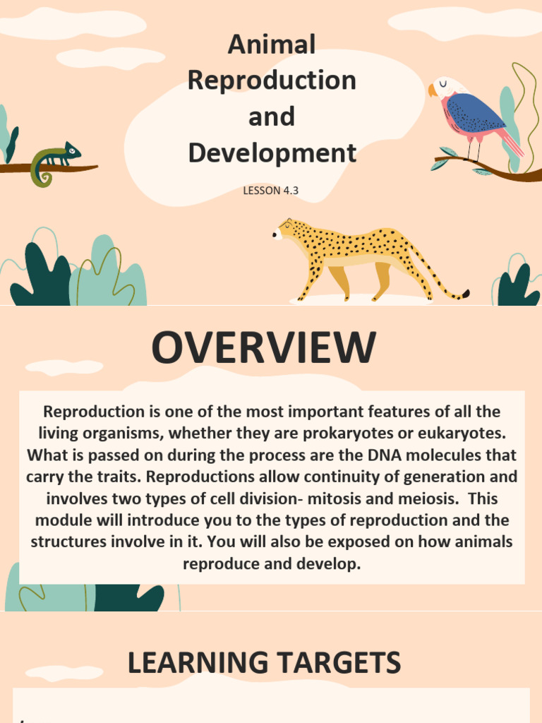 Animal Reproduction and Development Guide | PDF | Sexual Reproduction ...