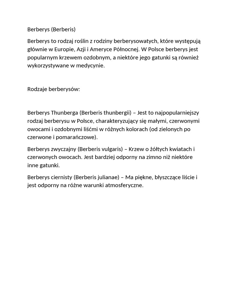 Berber Ys | PDF