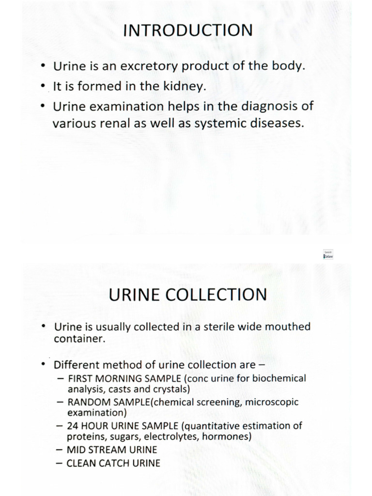 Urine | PDF