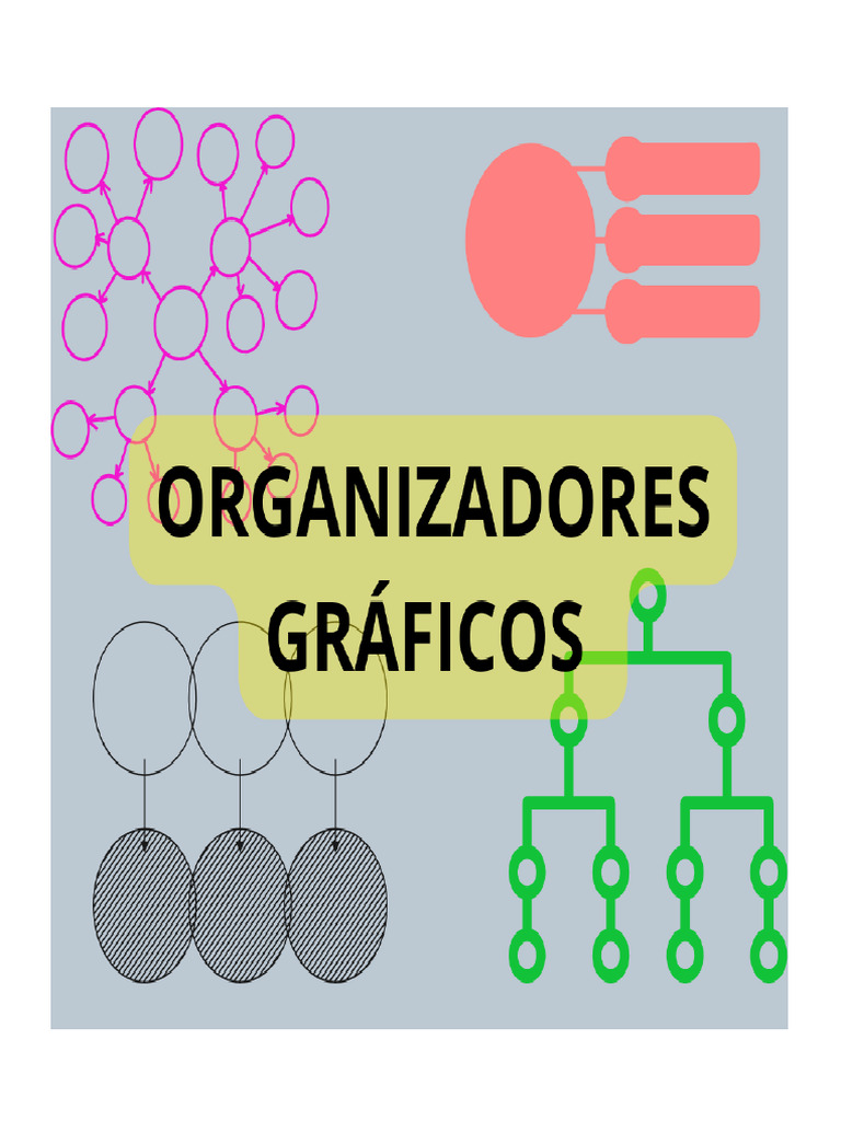 Esquemas - 1 | PDF | Fruta | Aguacate