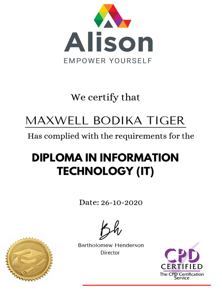 IT Diploma | PDF