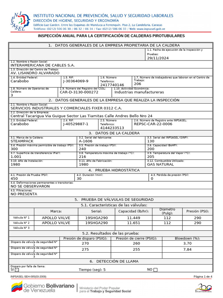 Formato Inpsasel Calderas Pirotubular CABEL 9180 | PDF